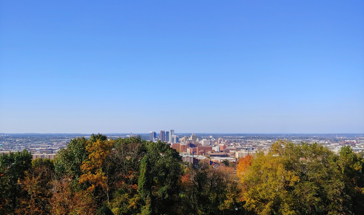 About – Dr. Chelsea Tanous