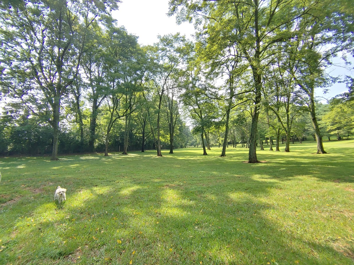 Personal Statement – Dr. Chelsea Tanous