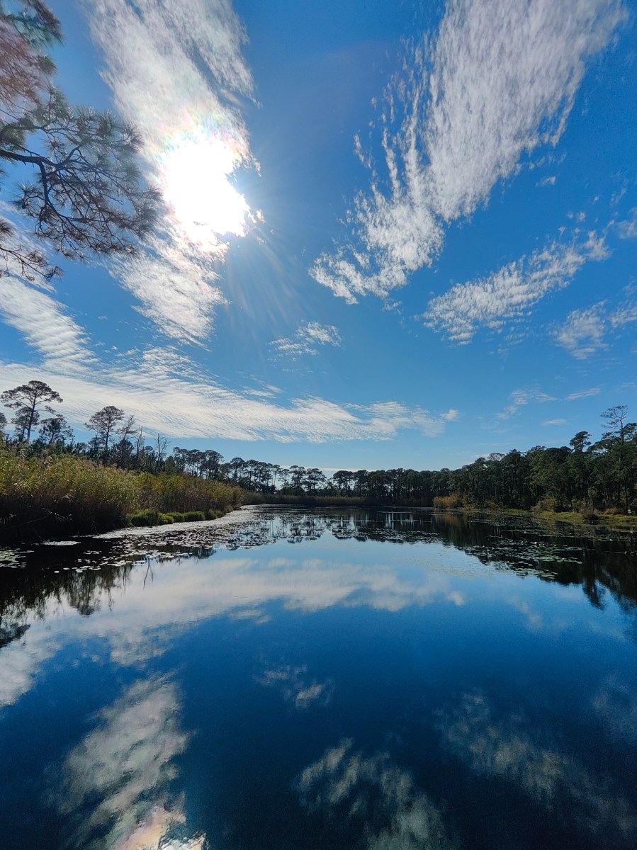 About – Dr. Chelsea Tanous